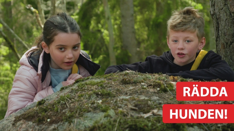 Tjejer - 28. Jemina - Rädda hunden! | SVT Barn