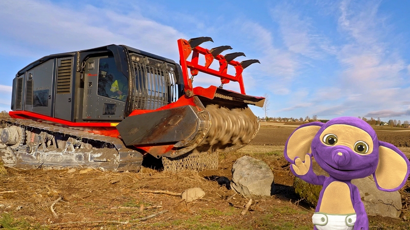 Fantus - Stubbfräs | SVT Barn