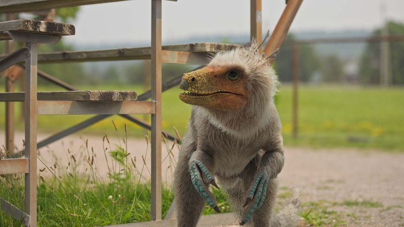 DINO DEX - 1. Hönosaurus Rex, del 1 | SVT Barn