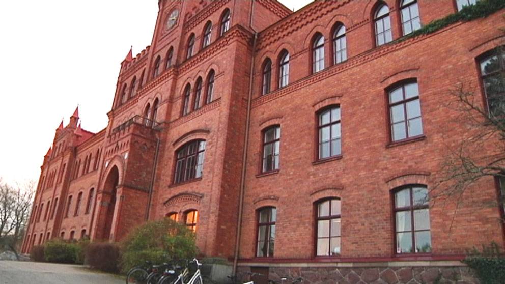 De får gå på nya Vallbacksskolan | SVT Nyheter
