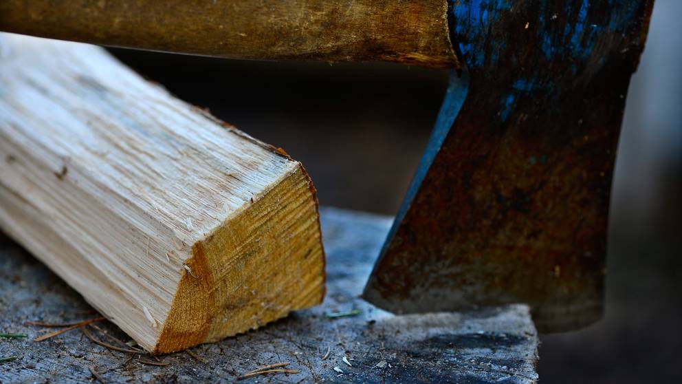 Flens kommun vill inte hugga ved | SVT Nyheter