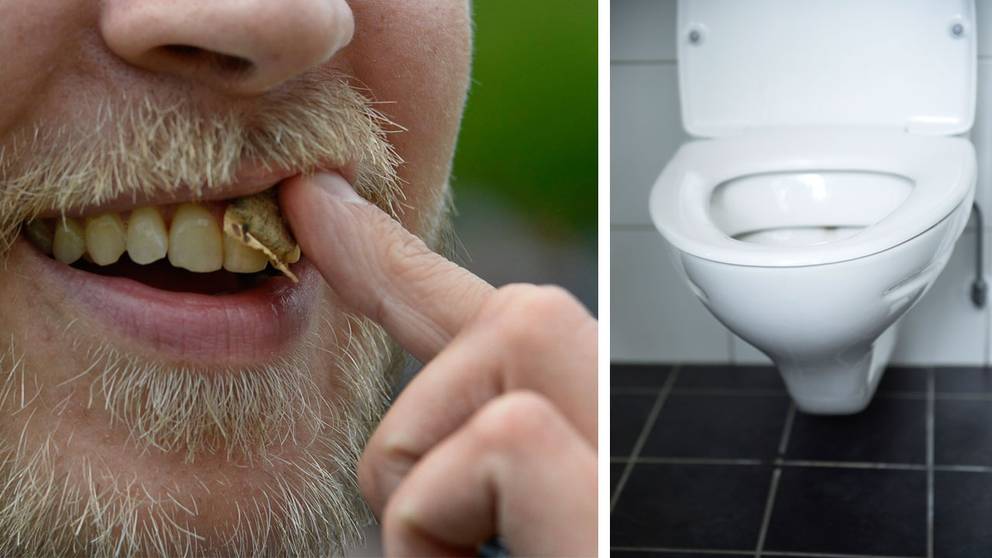 Över tusen ton snus i toaletterna | SVT Nyheter