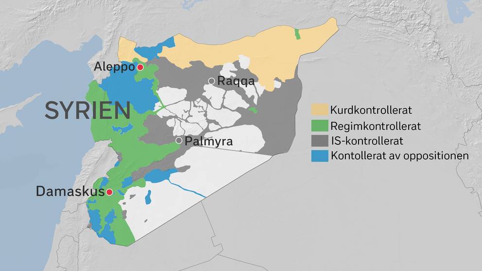 Det gamla Syrien kommer inte att återuppstå | SVT Nyheter