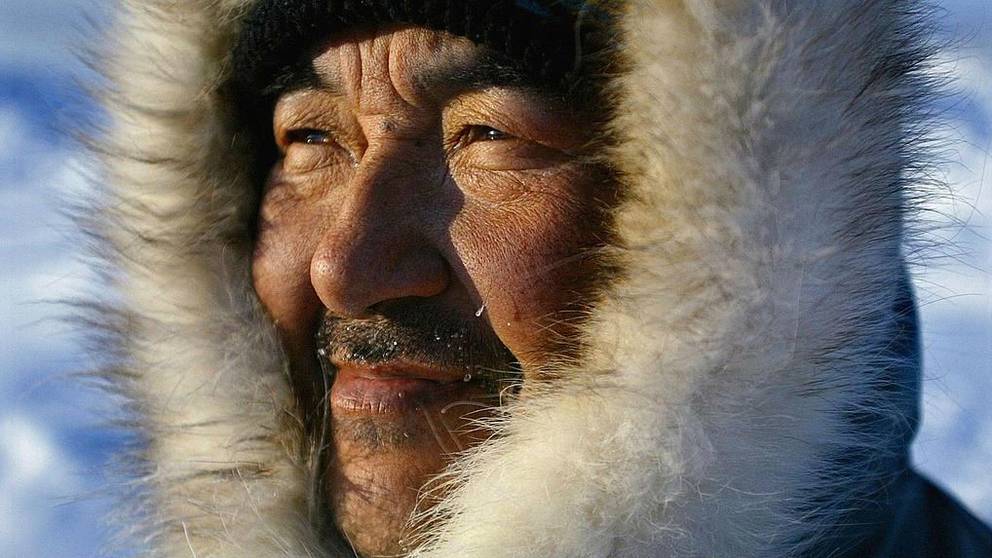 Därför kan inuiter hålla värmen i extrem kyla | SVT Nyheter