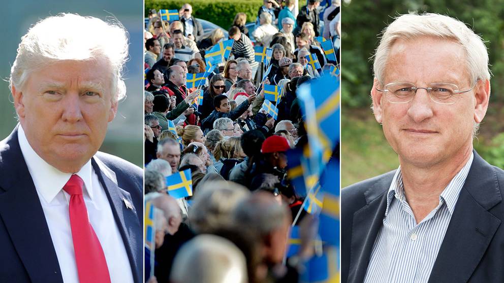 Carl Bildt: Här är sanningen om Sveriges flyktingar | SVT Nyheter