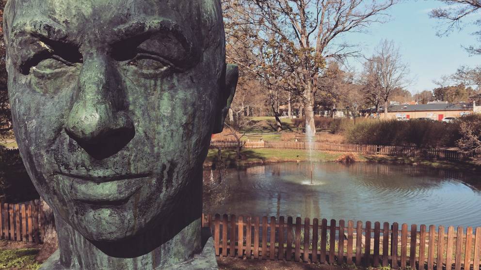 Fakta: Brunnsparkens historia | SVT Nyheter