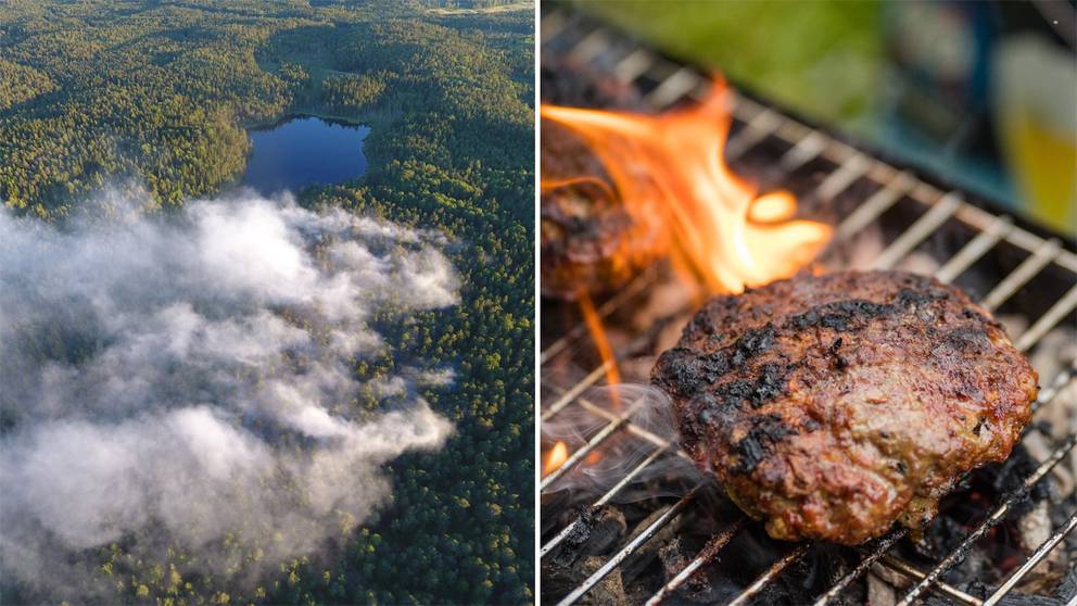 Fritt fram att elda utomhus igen | SVT Nyheter