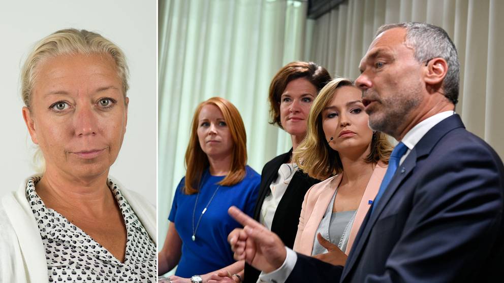 Elisabeth Marmorstein: ”Det kan innebära en lagstiftning om lägre ...