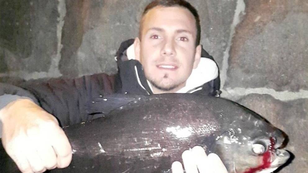 Jonathans monsterfisk skickas till Naturhistoriska | SVT Nyheter