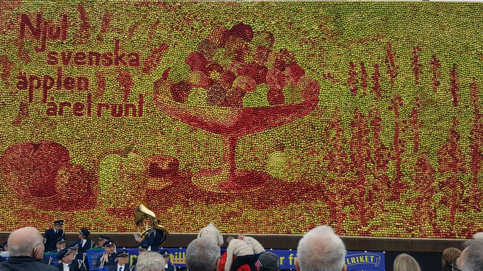 Här avtäcks årets äppeltavla i Kivik | SVT Nyheter