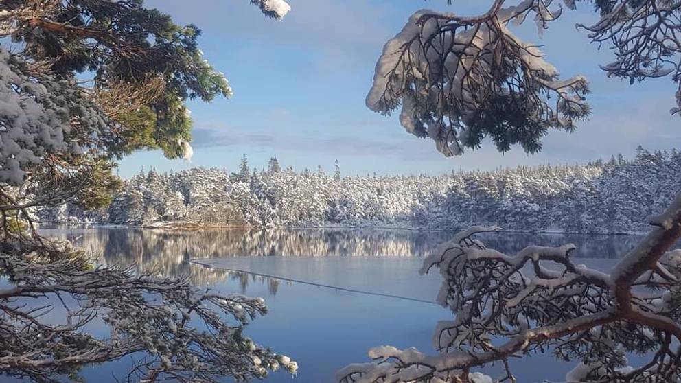 Här är läsarnas vackra vinterbilder | SVT Nyheter