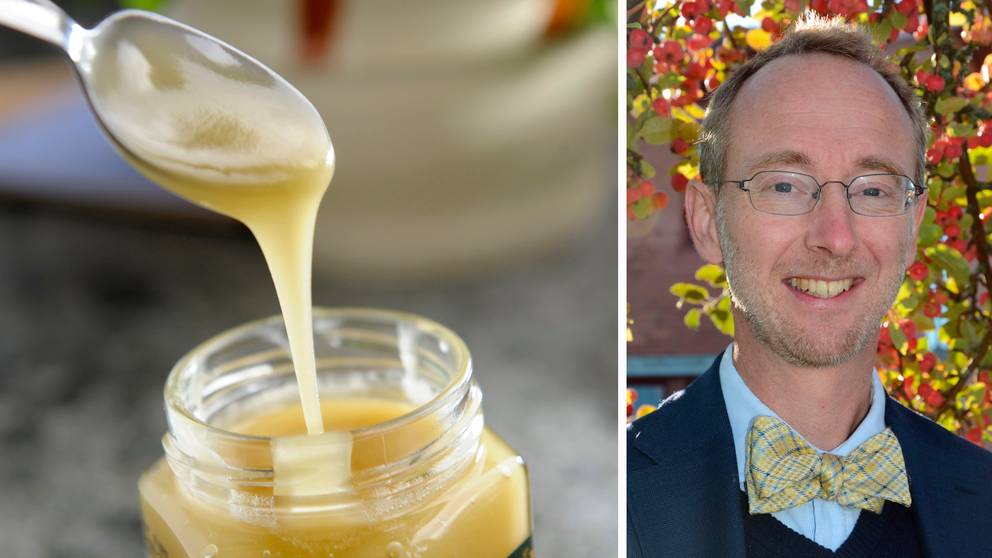 Dunderhonung kan vara gott – men stark som Bamse blir du inte | SVT Nyheter