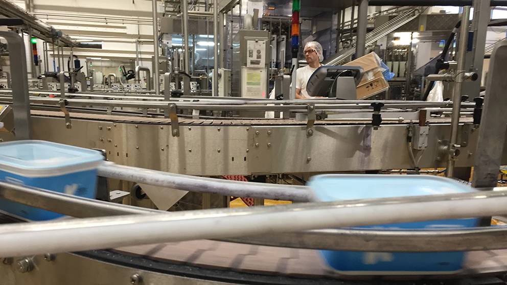 Arla storsatsar på mejeriproduktion – investerar 760 miljoner | SVT Nyheter