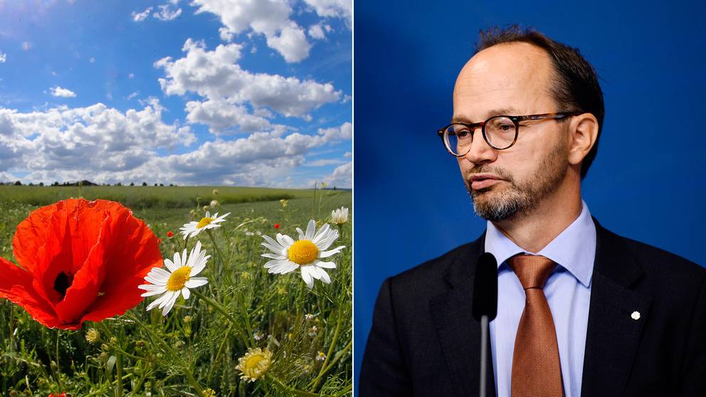 Regeringen vill diskutera tidsomställning | SVT Nyheter