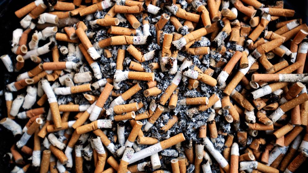 Fimpar undantag i nya skräplagen | SVT Nyheter