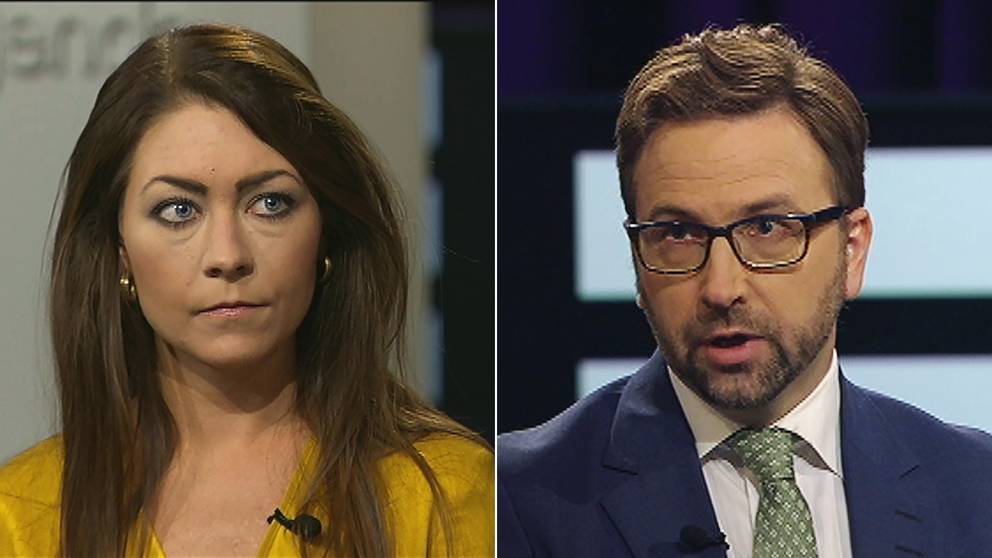 Maria Ferm (MP): Om lagen underkänns får vi hitta annan lösning | SVT ...