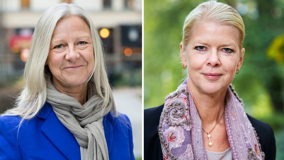 Ny direktör när landstinget blir region | SVT Nyheter