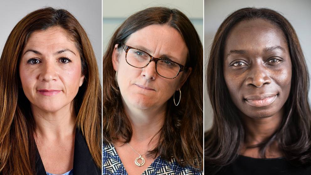 Elisabeth Marmorstein: ”Valet av partiledare i L speglar synen på ...