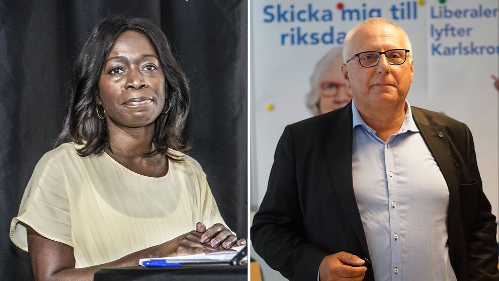 Elisabeth Marmorstein: Liberalerna är splittrade | SVT Nyheter