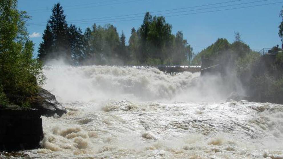 Vattenfallet Munkforsen släpps på | SVT Nyheter