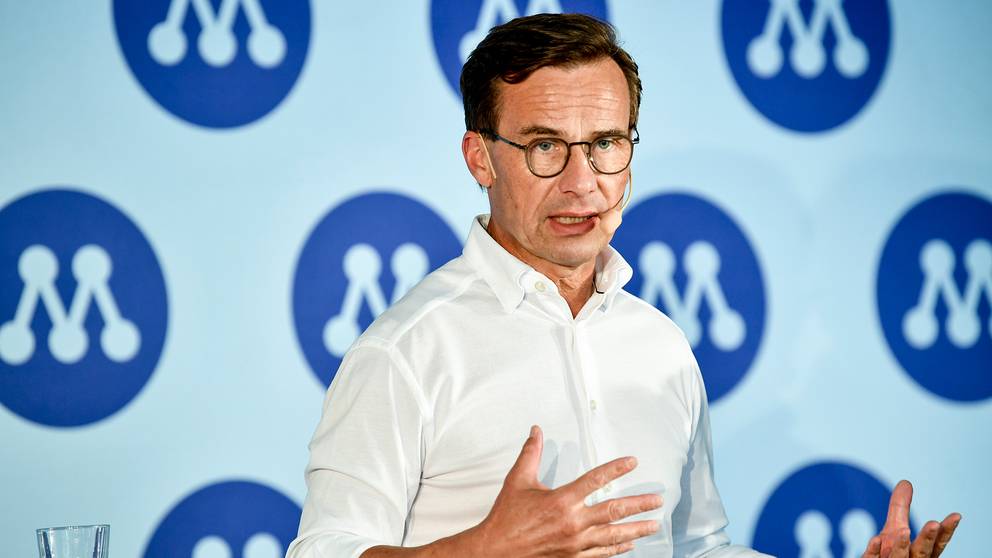 Ulf Kristersson (M): Begränsa rätten till tolkhjälp | SVT Nyheter