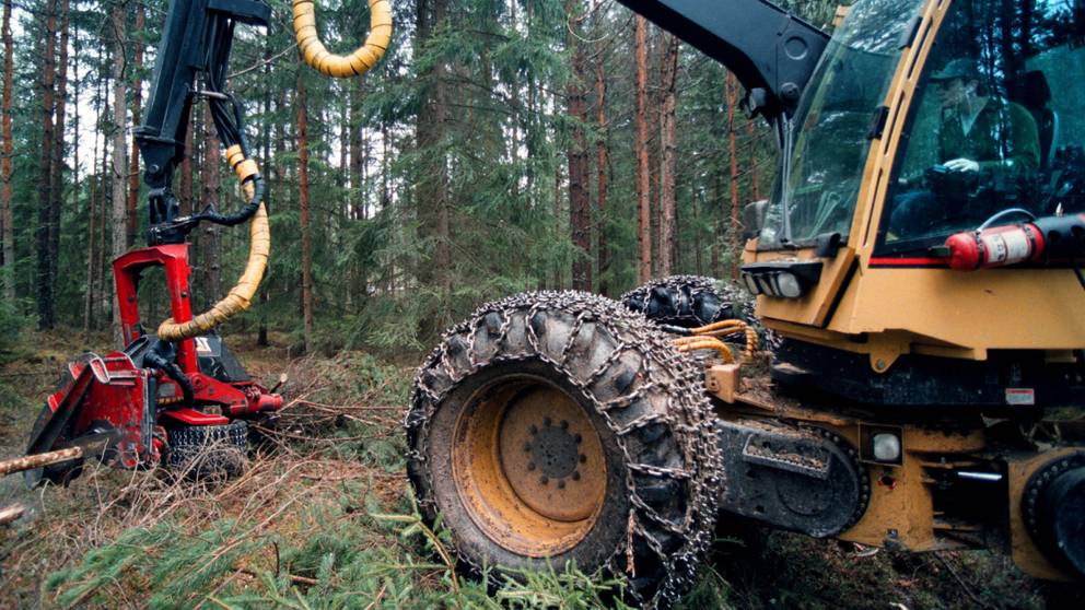 Stora maskiner stjäls enkelt | SVT Nyheter