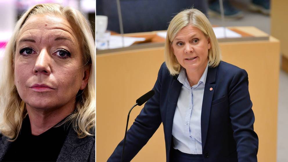 Elisabeth Marmorstein: ”Mycket besvärligt för S” | SVT Nyheter