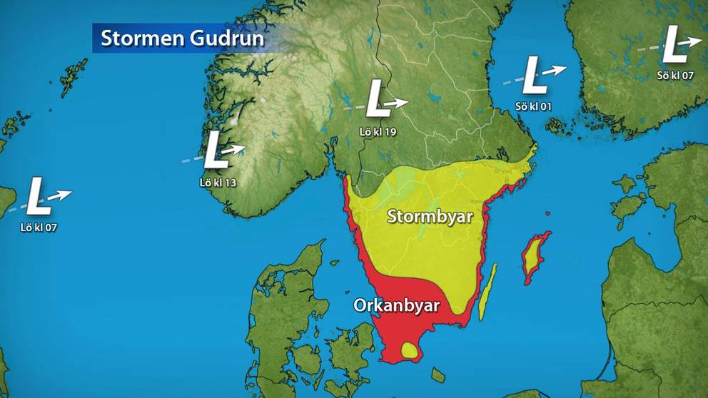 Tio år sedan Gudrun | SVT Nyheter