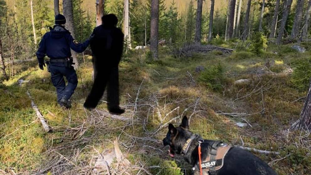 Polishunden Krigo hittade vapen och spårade misstänkt | SVT Nyheter