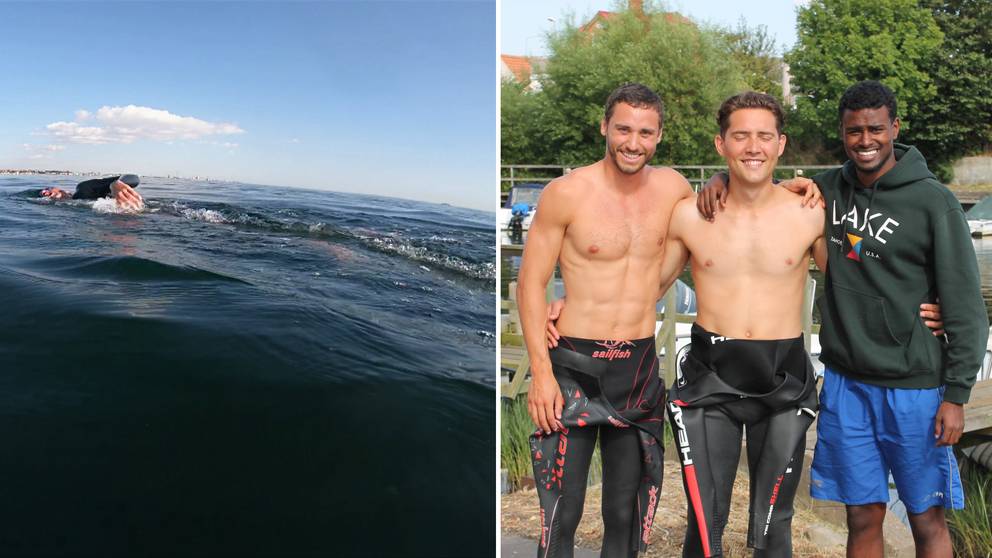 Här simmar de tre kompisarna mellan Danmark och Sverige | SVT Nyheter