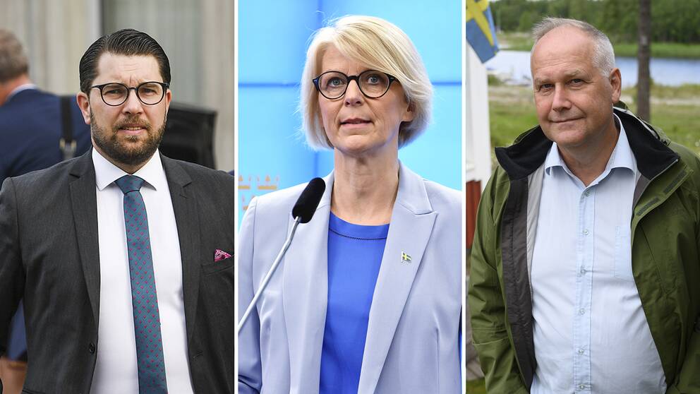 Jimmie Åkesson ”det Räcker Inte Det är Alldeles För Lite” Svt Nyheter