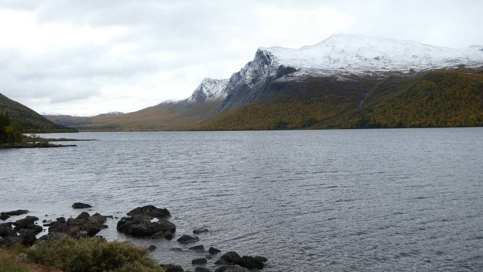 Första snön har kommit i Västerbotten – se de vintriga bilderna | SVT ...