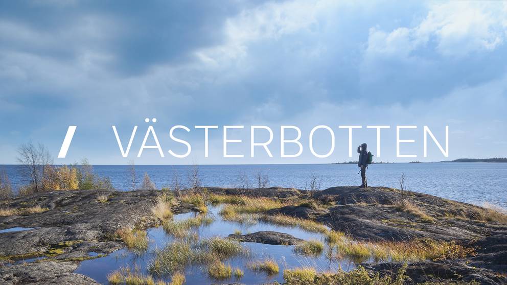 Västerbotten | SVT Nyheter