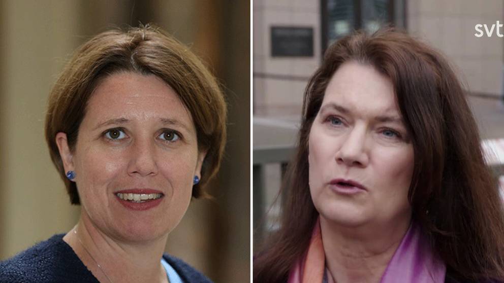 Brittiska ambassadören om kärnvapenkritiken från Sverige | SVT Nyheter