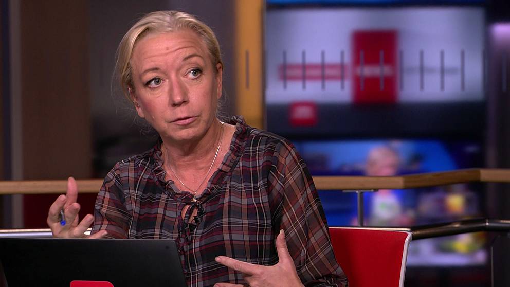Marmorstein svarar på dina frågor om det politiska läget | SVT Nyheter