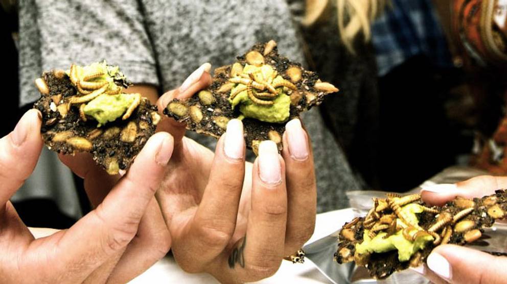 Är insekter framtidens mat? | SVT Nyheter