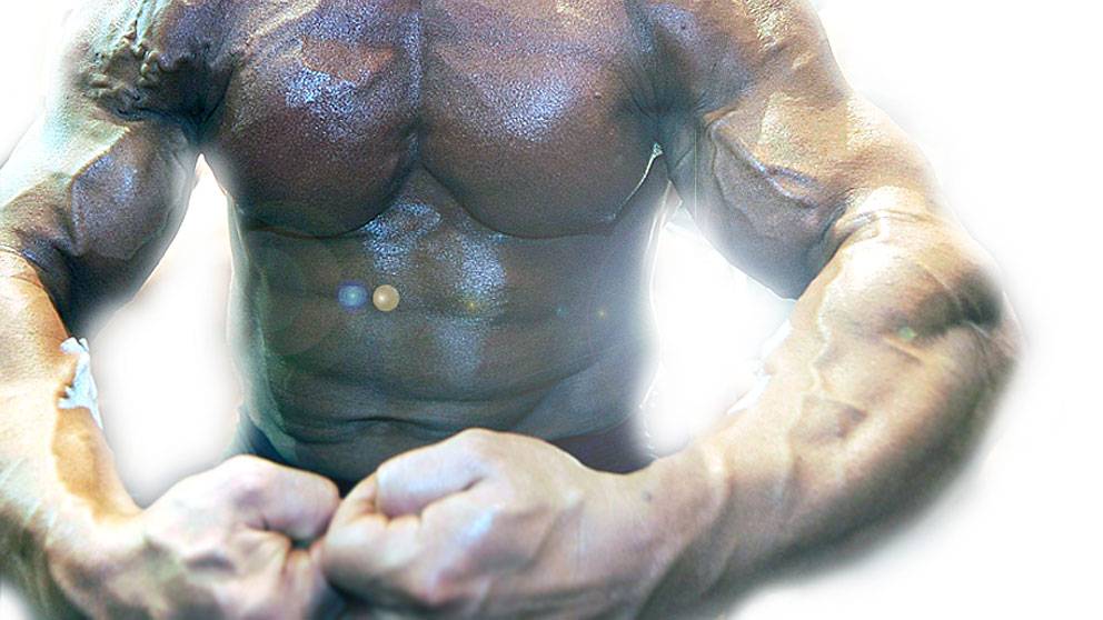 Gamla muskler blir unga igen | SVT Nyheter