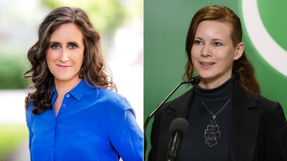 Miljöpartister vill styra SVT:s nyhetssändningar | SVT Nyheter