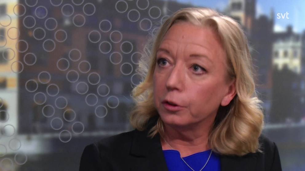 Elisabeth Marmorstein om regeringens vårbudget – Så blir årets ...
