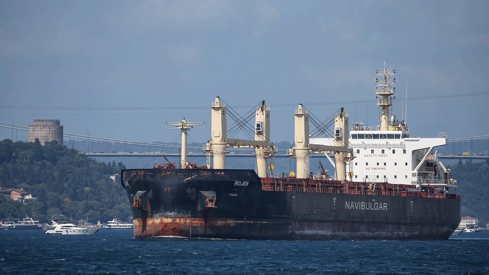 Expert: Spannmålstransporterna kan behöva skyddas av militära fartyg ...