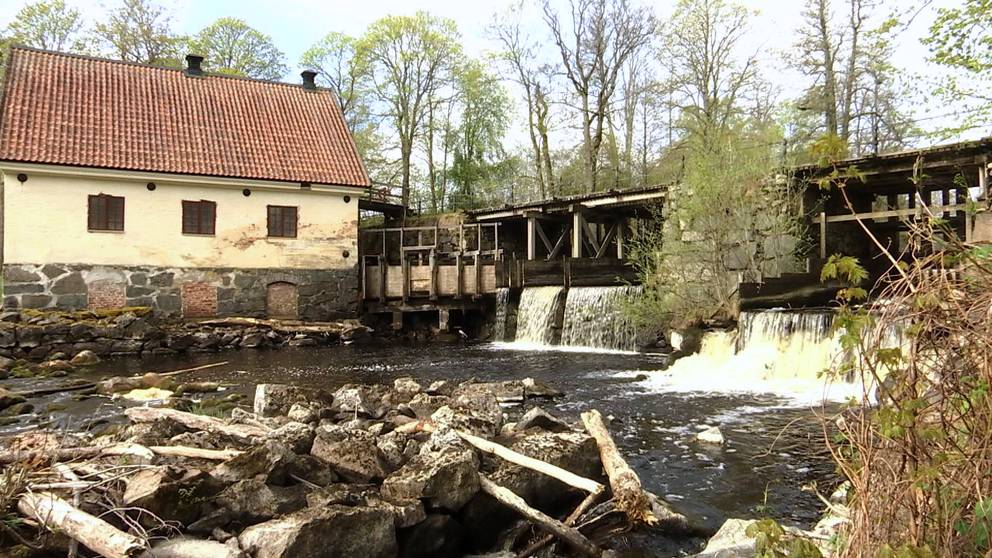 Ny dom: Dammen vid Järle kvarn får rivas | SVT Nyheter