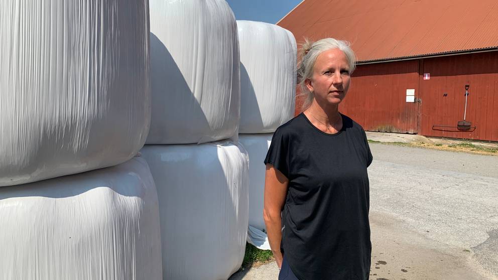 Stor brist på grovfoder – Karlshamns Ridklubb tvingas ta från ...