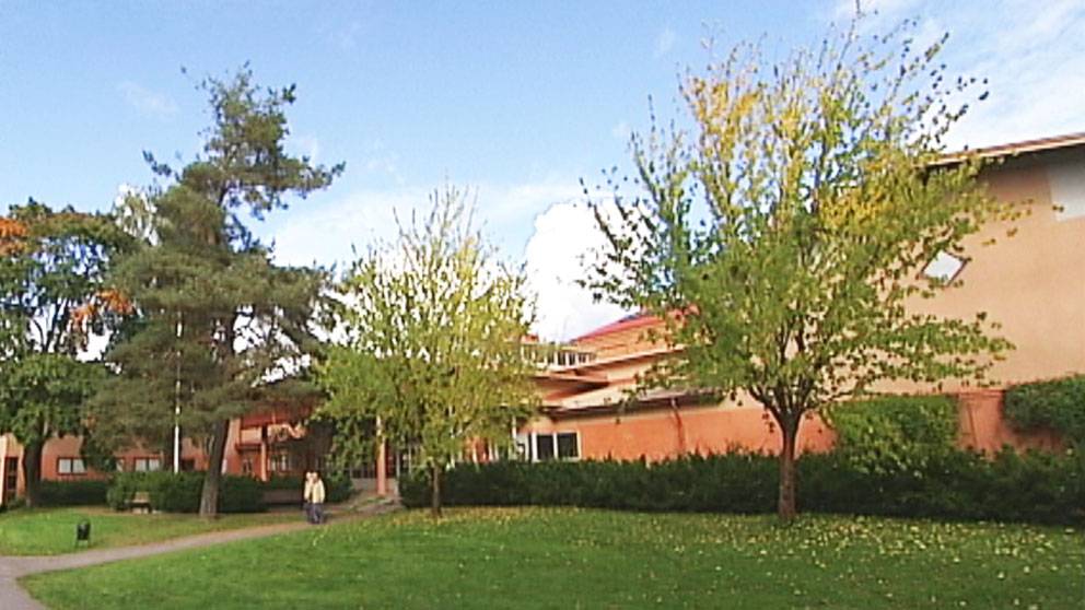 Välkommen till Vallbacksskolan | SVT Nyheter