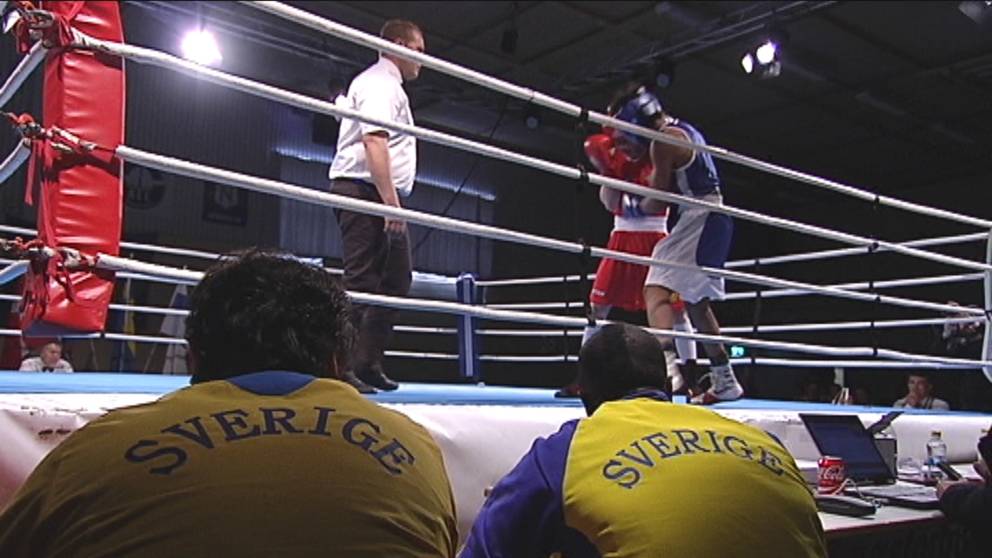 Framtidens boxare – mot OS i Tokyo 2020 | SVT Nyheter