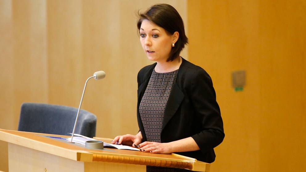 MP vill ha FN-konferens om asylrätt | SVT Nyheter