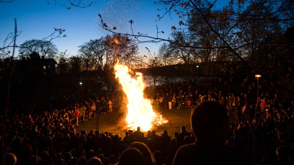 Lista: Här hittar du din majbrasa | SVT Nyheter