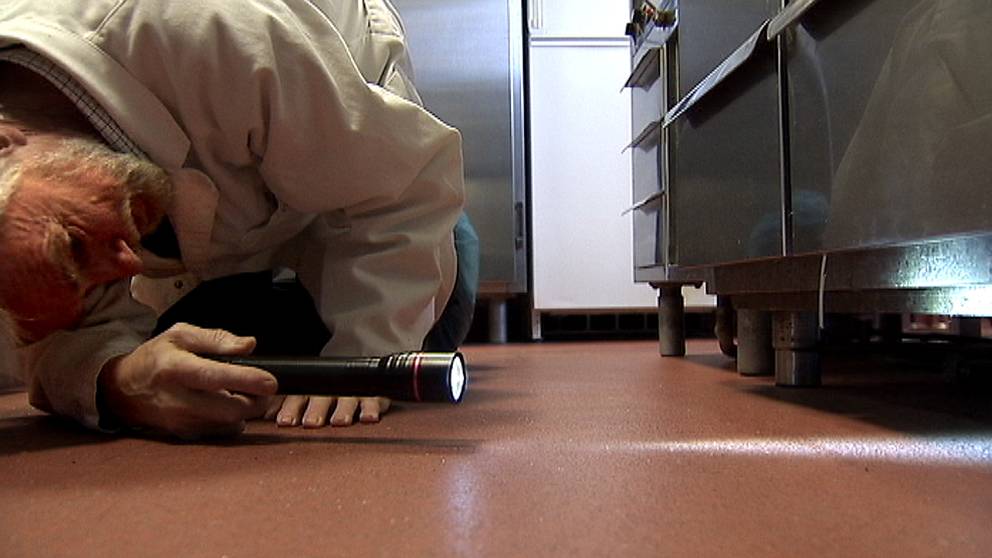 Krav på livsmedelskontroller | SVT Nyheter