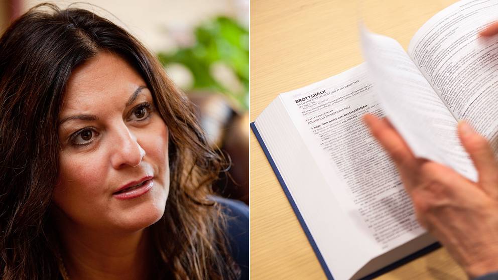 Massi Fritz mycket kritisk mot nedlagd utredning | SVT Nyheter