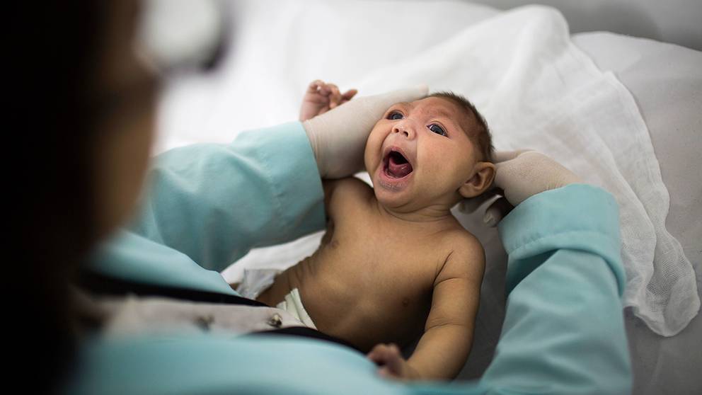 Vaccin skyddar möss mot zika | SVT Nyheter