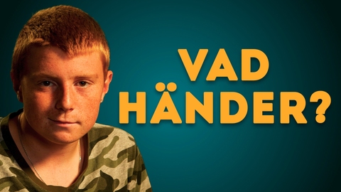 Puberteten: Mens, svett, målbrott, bröst, snoppen och snippan ...